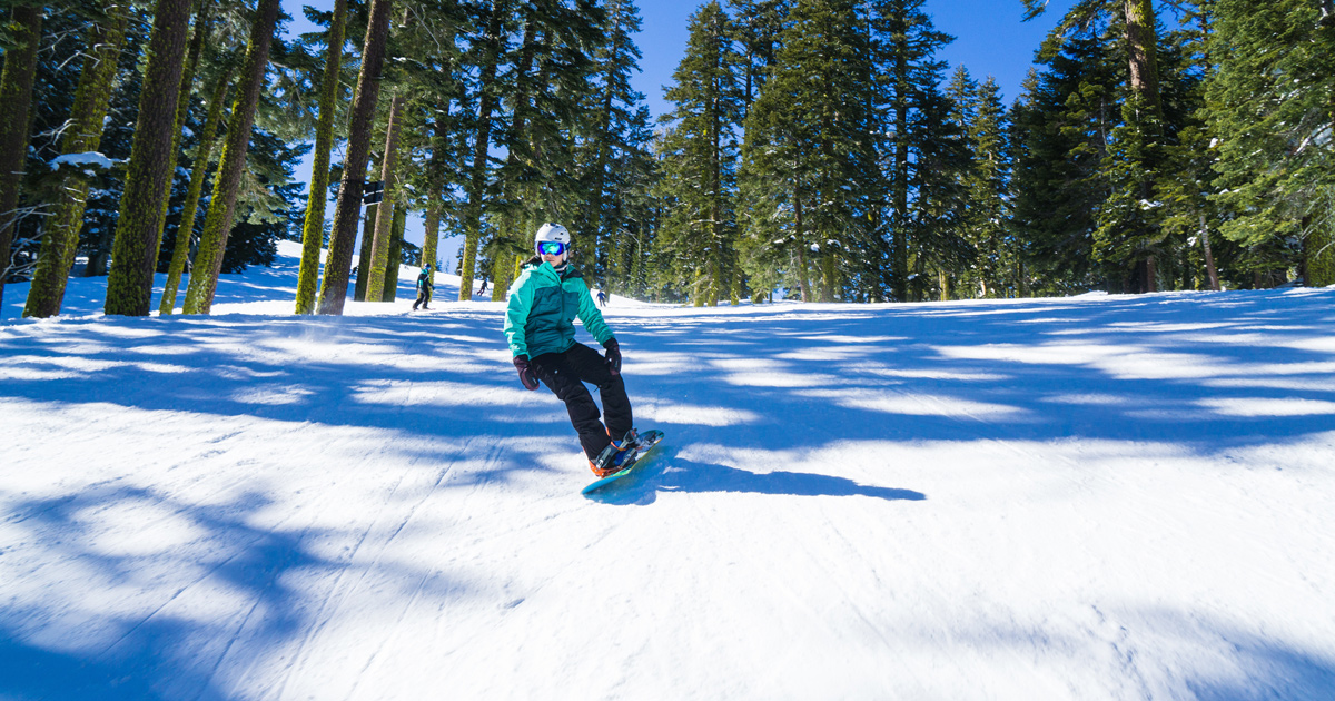 14 Custom Snowboards Worth a Closer Look | Skier Deals