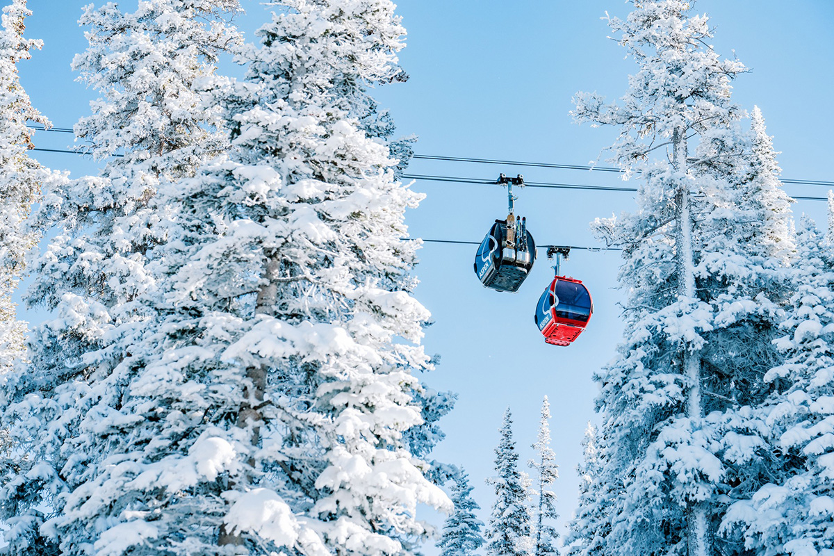 Aspen Skiing: Everything You Need to Know